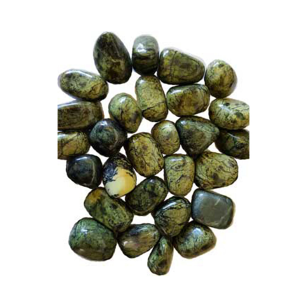 Transform Your Life with Asterite Serpentine tumbled stones » Unknown ...