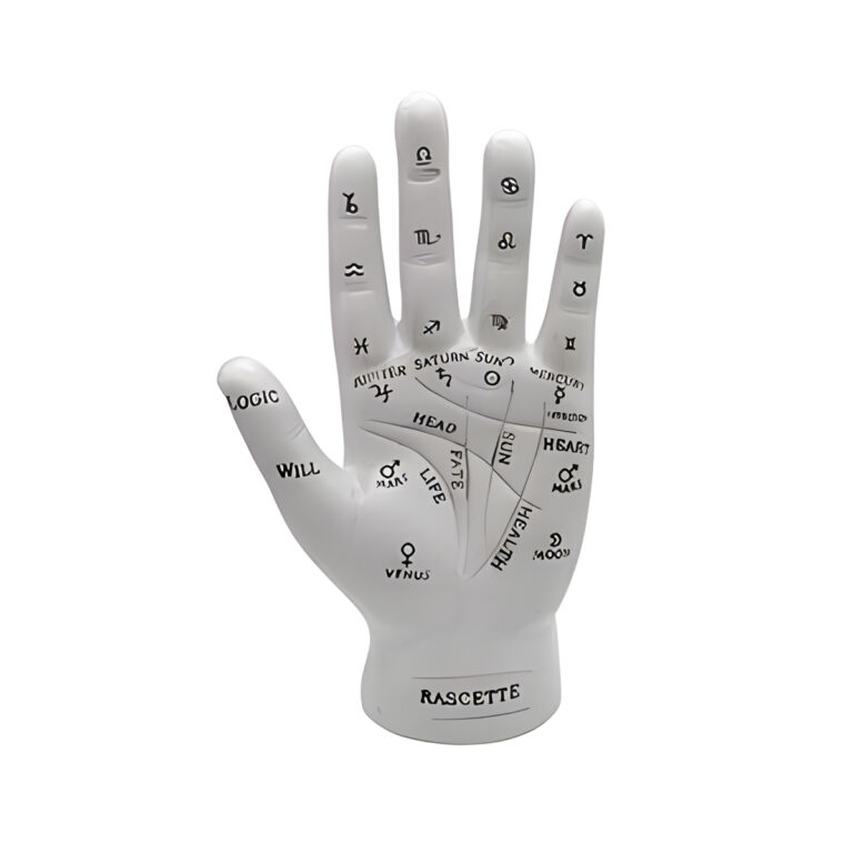 Unlock Your Future with Our Palmistry Hand Model - 7"