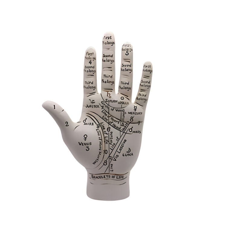 Mystical 9 1/2" Palmistry Hand for Future Predictions