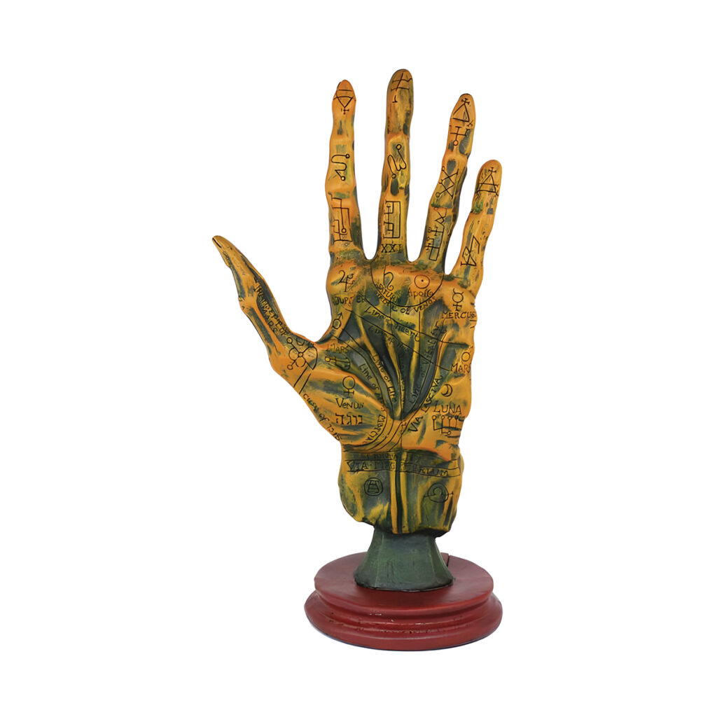 Alchemy Palmistry Hand - Unique Tool for Magical Study